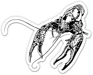 Amazon.com - Crayfish Stickers - 2 Pack - Waterproof Vinyl for Car ...