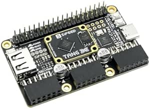 Amazon.com: youyeetoo Sipeed Tang Primer 25K Dock FPGA Development Board MCU, RISCV ...