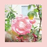 【発売日：2022年02月04日】・製造元:Slumberland Records