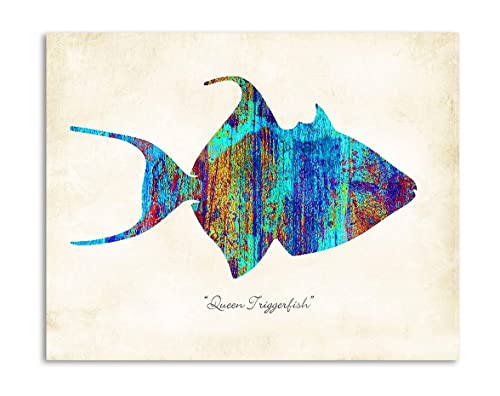Amazon.com: Queen Triggerfish Watercolor Art Print by Dan Morris : Home ...