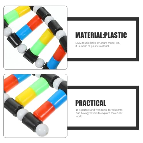 DNA Model, DNA Double Helix Structure Model Kit Kids Students ...