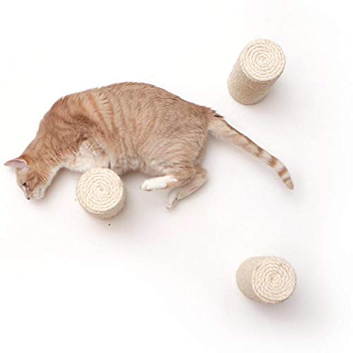 The 25 Best Stairs and Steps for Cats - Cat Life Daily