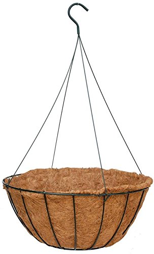 Jaypee Coir Basket Hanging -8 inch Full with Stand and Chain : Amazon ...