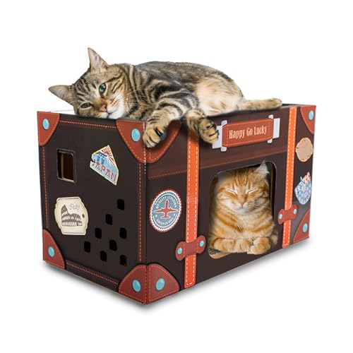 Cardboard Cat House – The 15 best products compared - Wild Explained