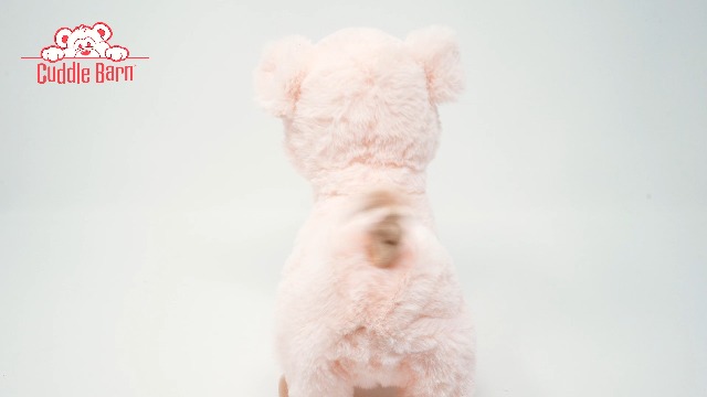 Watch Cuddle Barn | Barnyard Buddies - Pig on Amazon Live