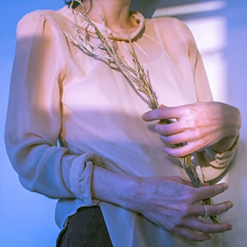 Amazon.co.jp: Our Circle Is Vicious : Varteres Durise: デジタルミュージック