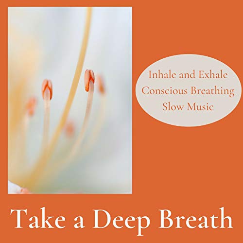 Play Take a Deep Breath: Inhale and Exhale Conscious Breathing Slow ...