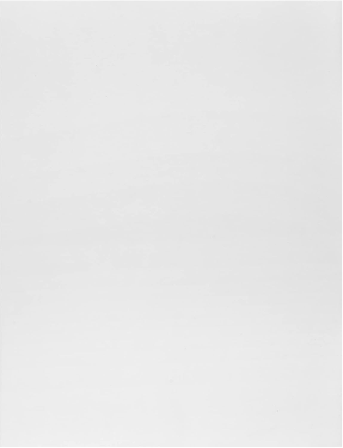 Amazon.com: Quotidian White Flat US Letter Translucent Vellum Paper ...
