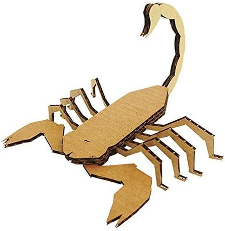 Amazon.com: The Grid Kit - Small Scorpion. Harvard Alumni Created Kits ...