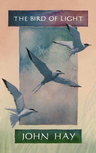 『The Bird of Light』｜感想・レビュー - 読書メーター