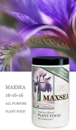 Amazon.com : Maxsea Grow 16-16-16 1.5 Lbs. Water Soluble Seaweed Plant ...