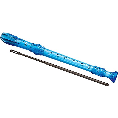 Snapklik.com : Ravel Transparent Recorder