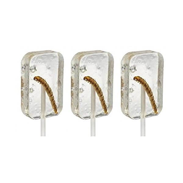 Hotlix Tequila Worm Sucker Pack of 3 Insect Candy - Insect Gourmet ...