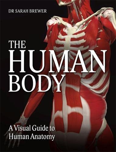 The Human Body: Sarah Brewer,Dr Sarah Brewer: 9780857388476: Amazon.com ...
