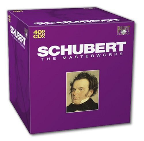 Buy Schubert: the Masterworks Online at Low Prices in India | Amazon ...