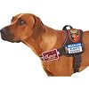 Amazon.com: Solsew 12 Pcs Funny Cute Dog Patches for Harness Removable ...