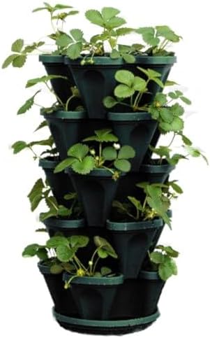 Mr. Stacky 1305-HG 5-Tier Stackable Strawberry, Herb, Flower ...