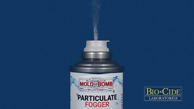 Watch Mold Bomb | Safe, Effective, Mold Cleaning & Removal on Amazon Live