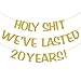 Amazon.com: Holy Shit We've Lasted 20 Years Banner, 20th Wedding ...