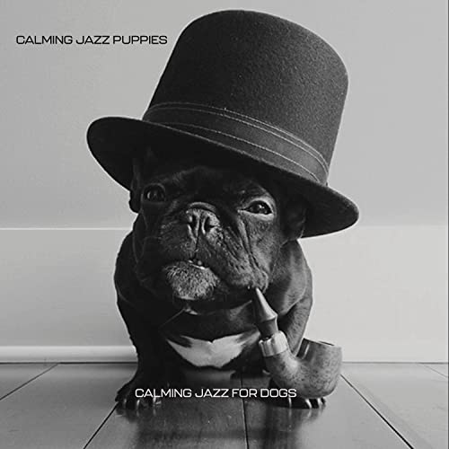 Amazon.com: Calming Jazz Puppies : Calming Jazz For Dogs: Digital Music