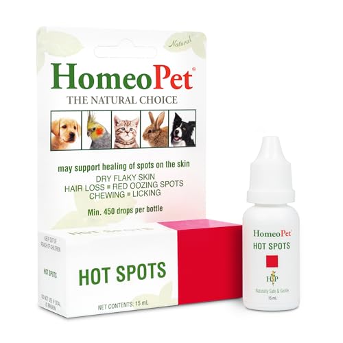 Hot Spot Cat – The 15 best products compared - Wild Explained