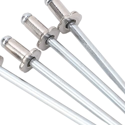 Rosette Rivets 10PCS Stainless Steel Dash - Black VIN Plate Fasteners ...