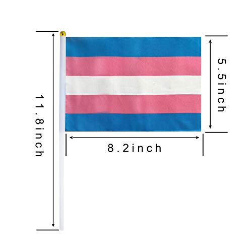 Buy LoveVC 50 Pack Small Mini Transgender Trans Pride Flag LGBT Rainbow ...