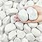 Amazon.com : FANTIAN 5 lbs White Rocks for Plants, 2-3 Inch Large ...