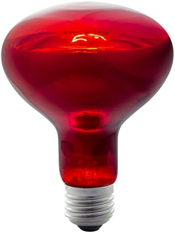 Reptile and Poultry 50w Infrared Heat Lamp Bulb ES E27 Edison Screw ...