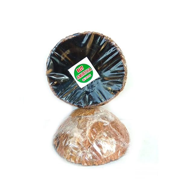 Traditional Black Kajal for Babies/Sirattai Pottu/Vengai Dhrishti Pottu ...