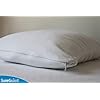 Amazon.com: Set of 2 Standard Size SureGuard Pillow Protectors - 100% ...
