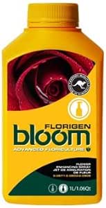 Amazon.com: floración FLORIGEN 1L : Patio, Césped y Jardín