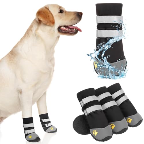 Sled Dog Boots – The 15 best products compared - Wild Explained