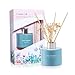 Amazon.com: L'odeur Vill Reed Diffuser, 4.06 oz(120ml) Lavender ...