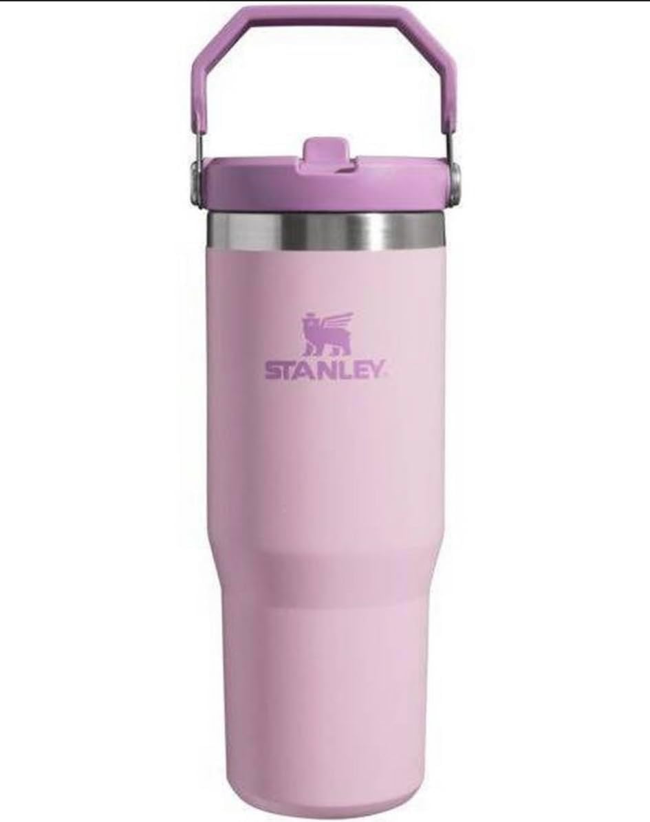 Amazon.com | STANLEY 30 oz Stainless Steel IceFlow Flip Straw Tumbler ...