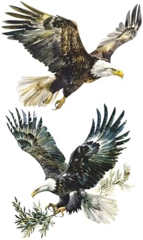 Amazon.com: Large Bald Eagle Wall Decal Peel and Stick : Tools & Home ...