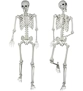 Amazon.com : 5.4ft Halloween Life Size Pirate Skeleton Realistic Human ...