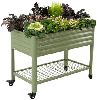 Amazon.com: Rolling Elevated Raised Garden Bed-V Series, 2' x 4' Garden ...