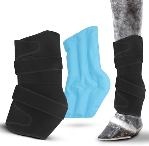 Amazon.com : Hudson Comfort Horse Ice Boots Set of 4 – Cooling Horse ...