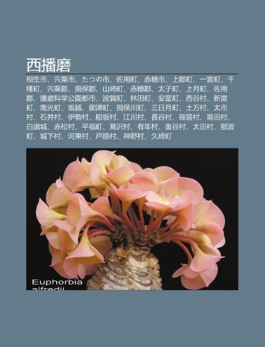 Amazon.co.jp: XI B Mo: XI Ng Sh Ng Shi, Rou Su Shi, Tatsuno Shi, Zu ...