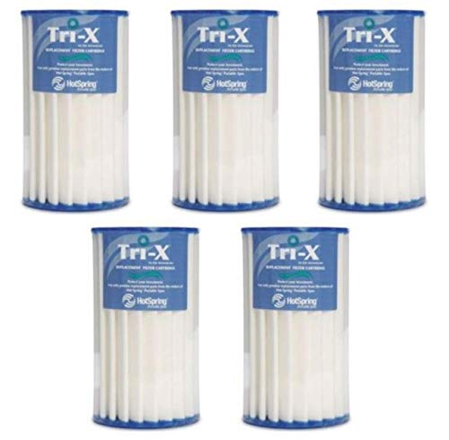 Amazon.com: Hot Spring Envoy Tri-X Filter Spas - Set of 5, 73250 ...