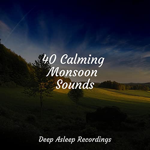 Écouter 40 Calming Monsoon Sounds de Relaxing Music Therapy, Organic ...