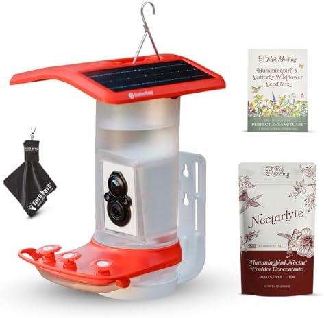 Amazon.com : FeatherSnap Smart Hummingbird Feeder with HD Camera – WiFi ...