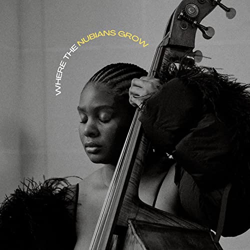 Play Where The Nubians Grow by Endea Owens on Amazon Music