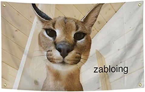 Amazon.com : Zabloing Floppa Funny Poster - Durable Man Cave Wall Flag ...