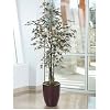 Amazon.com: Petals - Japanese Maple Silk Tree - Handcrafted - Amazingly ...