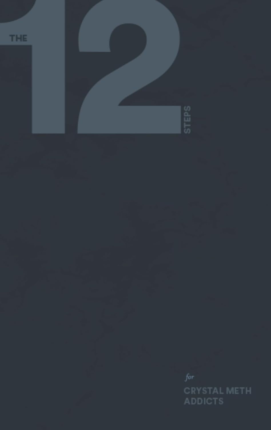 The Twelve Steps for Crystal Meth Addicts - Kindle edition by NYCMA ...