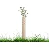 Biodegradable Tree Guards, Protect Your Trees and The Environment, Eco ...