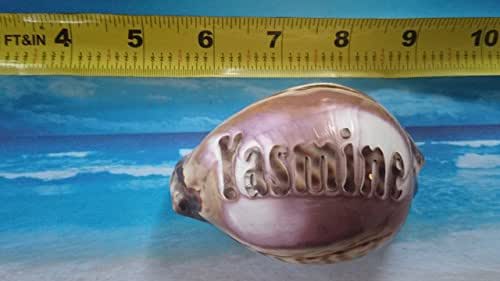 Amazon.com: 'Yasmine' Personalized Custom Engraved Shells. Names ...