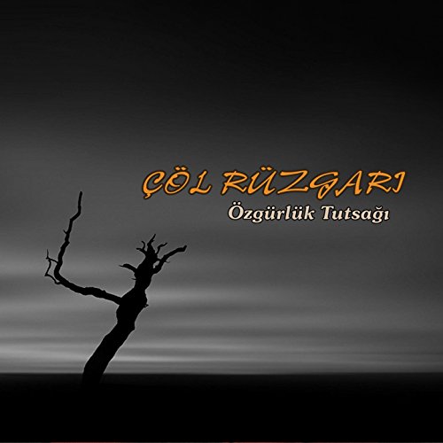 Play Özgürlük Tutsağı (feat. Ebru Tunç, Ersin Kılıç, Zeki Kılıç) by Çöl ...